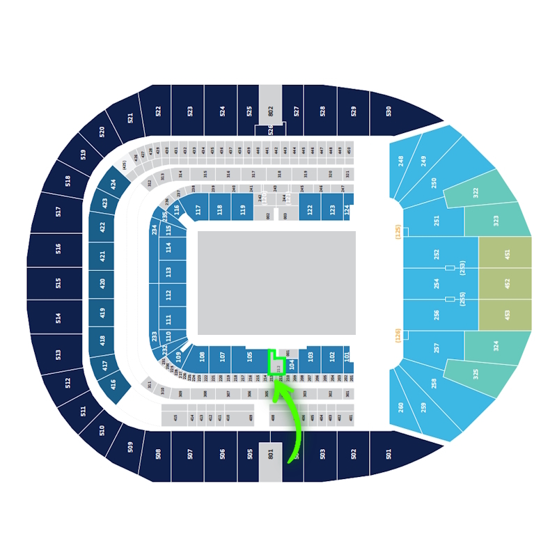 Beyonce Cowboy Carter Tour | Beyonce | Champions Travel