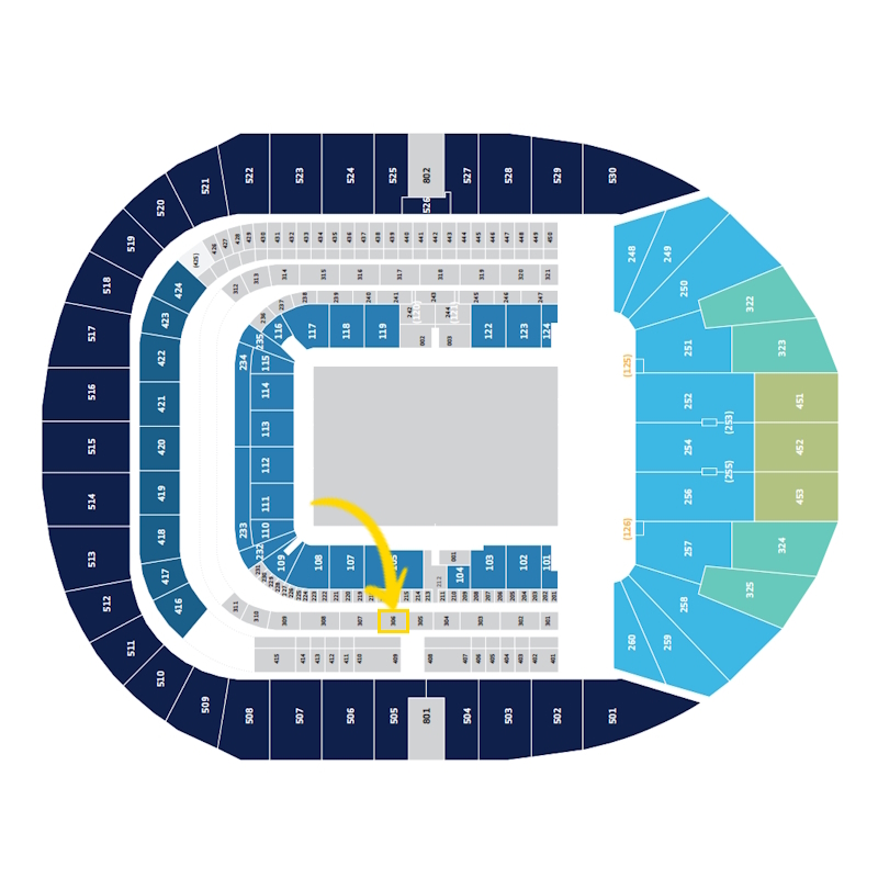 Beyonce Cowboy Carter Tour | Beyonce | Champions Travel